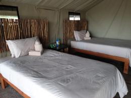 Discounted Cape Buffalo Hunt in Namibia's Caprivi Strip