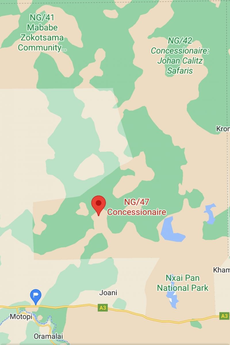 Highly Discounted Elephant Hunt in Botswana